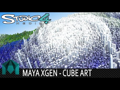 XGen Cube Art