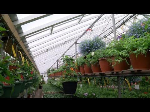 Kellner Greenhouse in Milwaukee helps keep plants from their greenhouse healthy in your garden