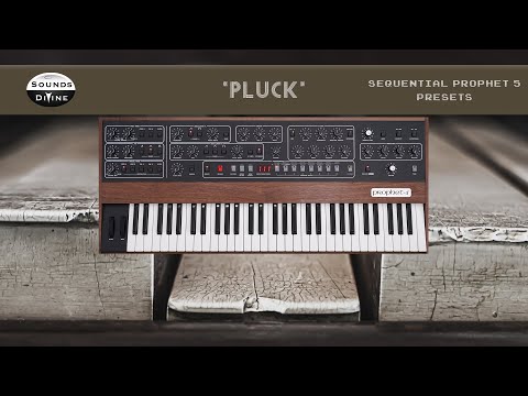 SoundsDivine releases 'Pluck' - Sequential Prophet 5 - Gearspace