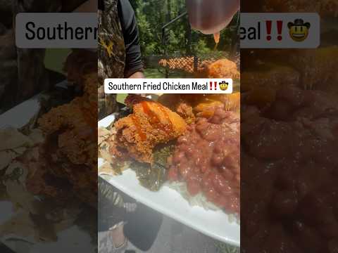 Deep South Southern Fried Chicken Meal‼️‼️🤠 #explore #shortvideo #fyp #foryourpage #food #viral
