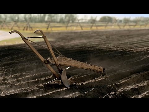 The Simple Miracle That Helped the Whitmers Further the Book of Mormon- (Knowhy #488)