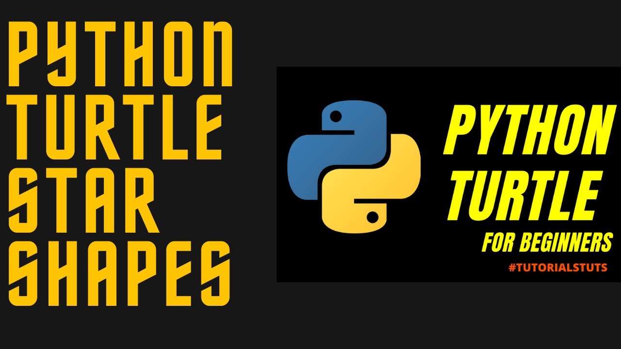 How to make Star Shape Python Turtle | Python Turtle for Beginners