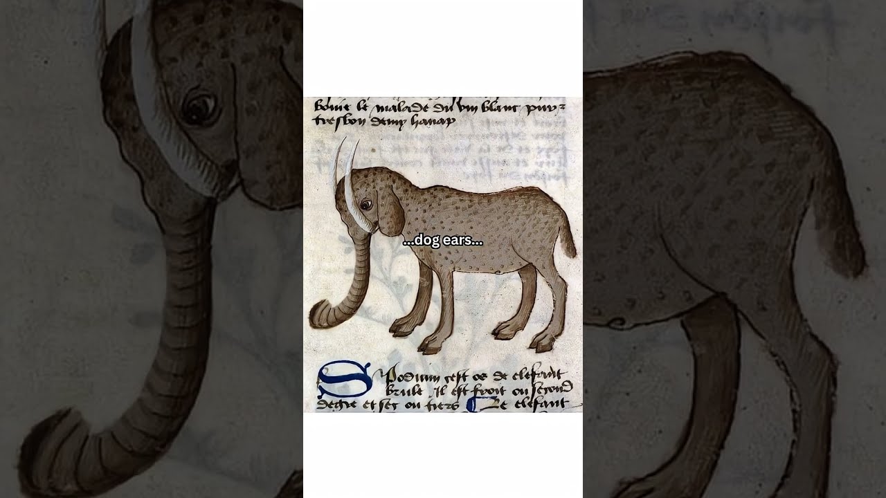 Medieval artists had never seen an elephant so...FOLLOW FOR MORE!!!...#medieval #jah #jahweneed #art