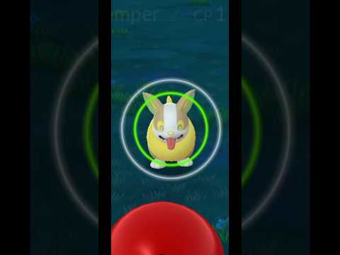 BACK-TO-BACK POKÉDEX ENTRIES?! Yamper to Boltund Evolution! 😱🔥
