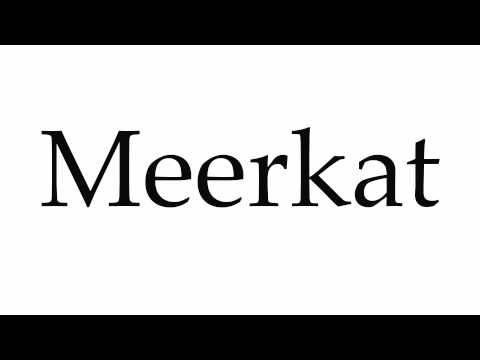How to Pronounce Meerkat