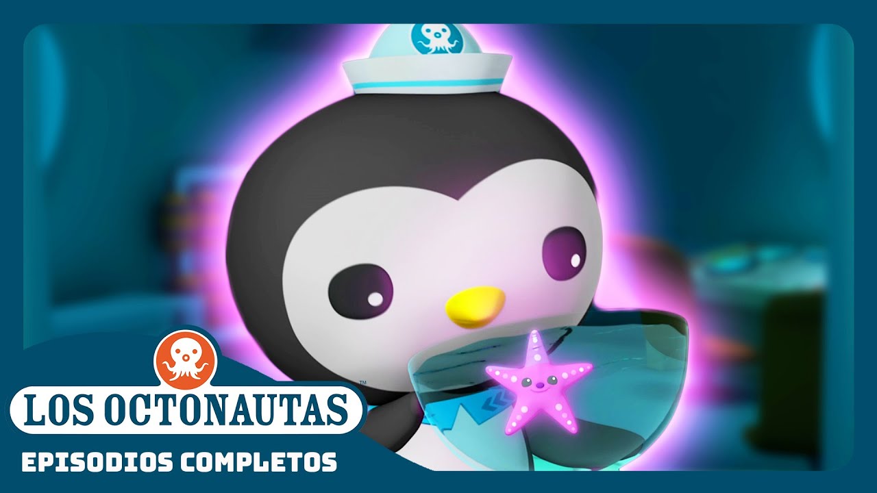 Los Octonautas - 🐚 La estrella de mar perdida ⭐ | Temporada 1 | Episodios Completos