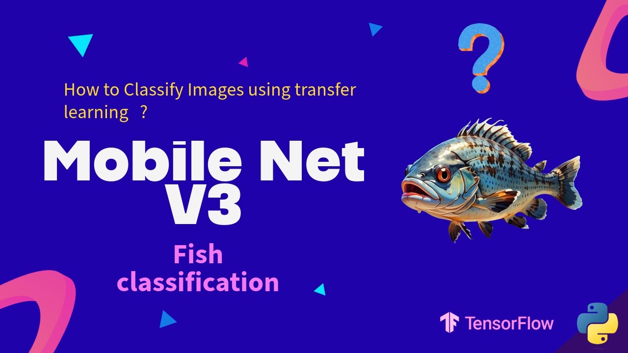 Mastering Image Classification with MobileNet-V3 Transfer Learning ...