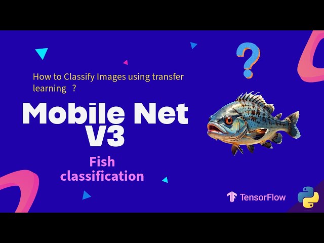 Mastering Image Classification with MobileNet-V3 Transfer Learning ...