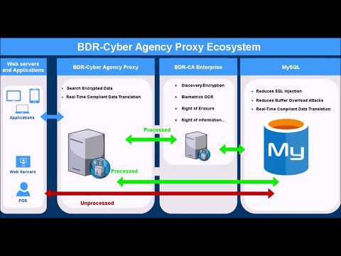 BDR Cyber Agency Proxy Ecosystem For GDPR CCPA General Compliancy