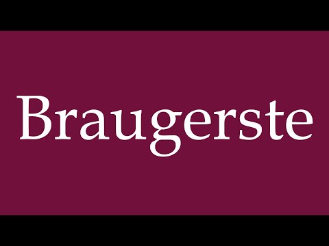 How to Pronounce ''Braugerste'' (Malting barley) Correctly in German