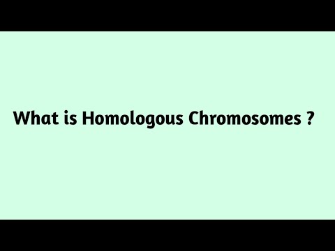 What is Homologous Chromosomes ?