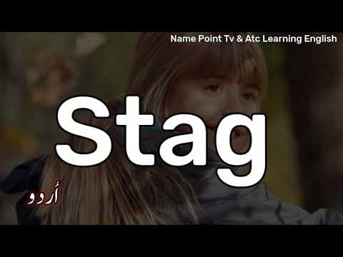 Stag Meaning | Stag Meaning In Urdu | Stag Ka Matlab Kya Hota Hai | Stag Ka Meaning Kya Hai