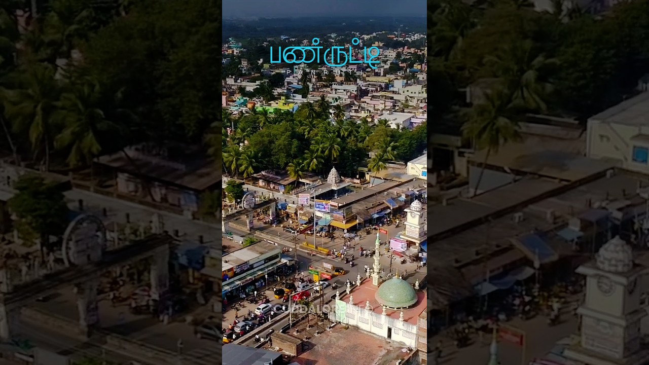 Panruti ❤️ Beautiful View | Cuddalore Info | TN31 | #cuddalore #panruti