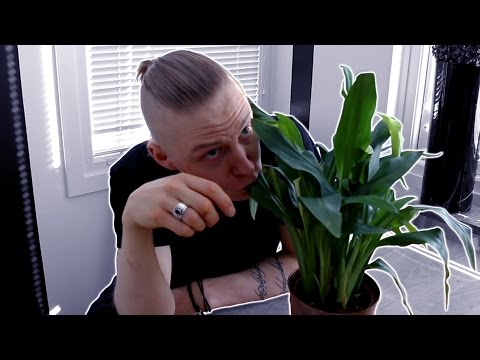 Don't Gift Me Plants