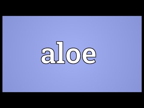 Aloe Meaning