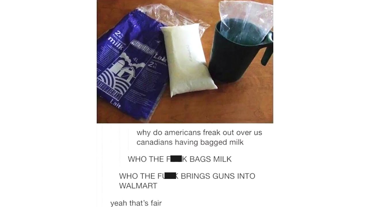 TUMBLR POSTS V242