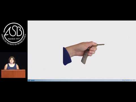 Nichols - Identifying biomechanical wrist impairments with machine learning: a feasibility study