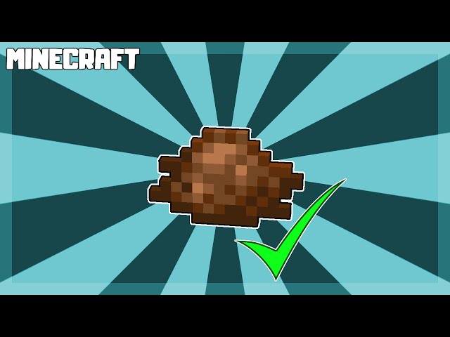 3 things you didn't know about cocoa beans in Minecraft