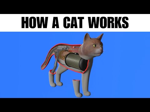 Steam Community :: Video :: How a Cat Works