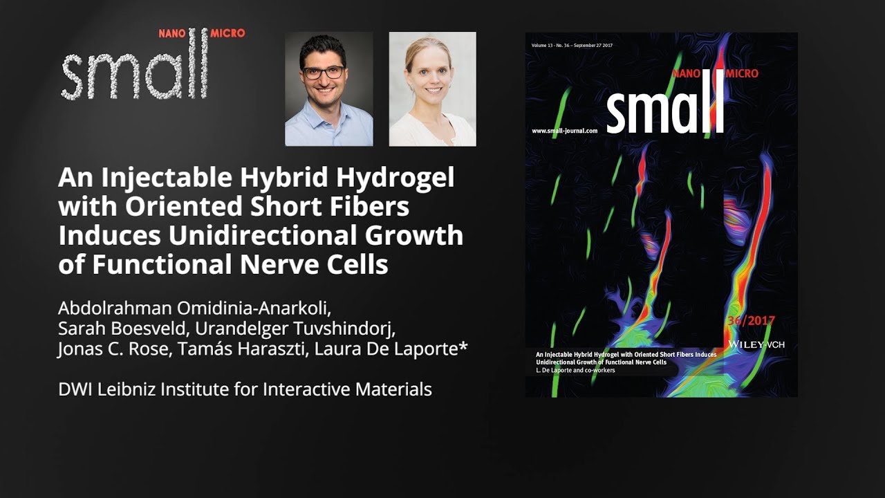 An Injectable Hybrid Hydrogel Induces Unidirectional Growth of Functional Nerve Cells
