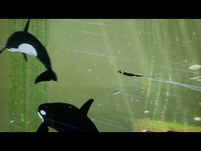 5 best Nintendo Switch games about underwater exploration