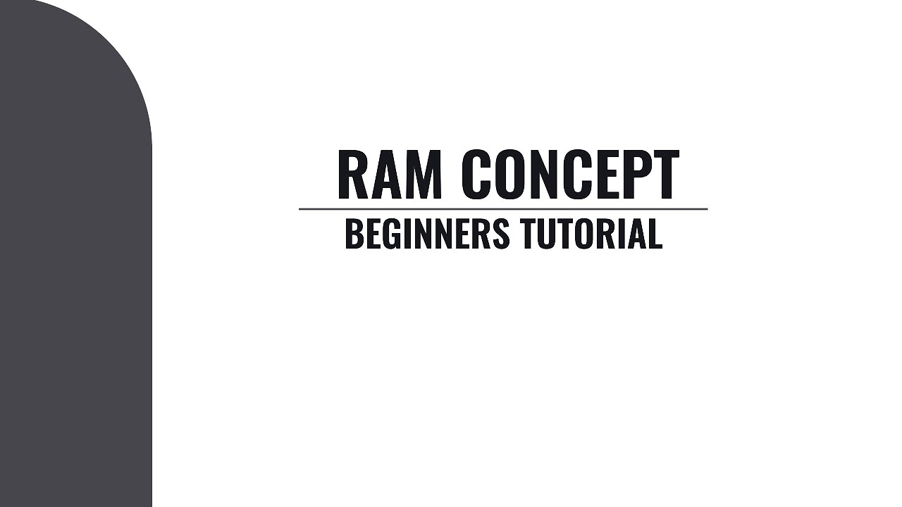 RAM Concept for Beginners: Quick Start Guide to the Interface and Basic Analysis