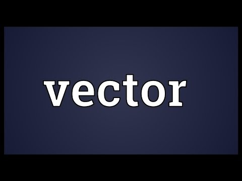 Vector Meaning