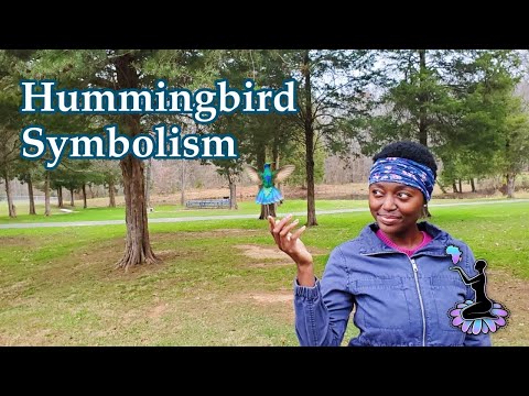 Hummingbird Spirit Animal Totem | Look Towards The Light
