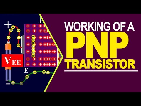 PNP Transistor - Wholesaler & Wholesale Dealers in India