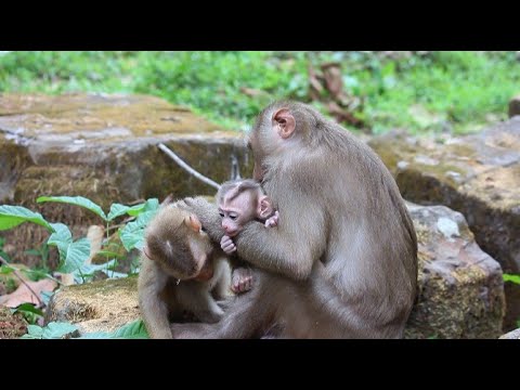Lucie to visited baby Janifer