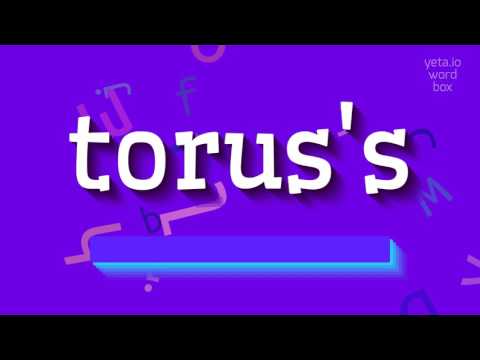 How to say "torus's"! (High Quality Voices)