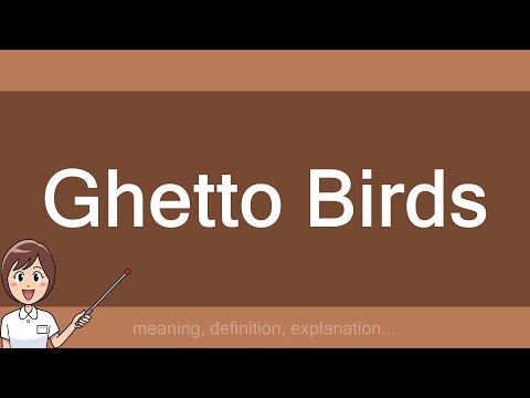 Ghetto Birds