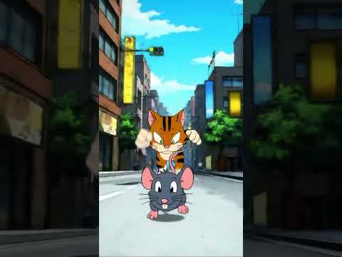 20 June 2025 Y Beast/Cat and Rat/shot/Viral/Funny Moments/#funny
