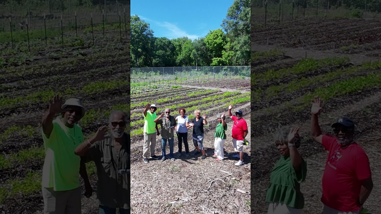 Things are coming along at Imbue Farm in New Orleans- A DJI Nemo Wave from Imbue Farm