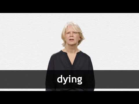 DYING 释义 | 柯林斯英语词典