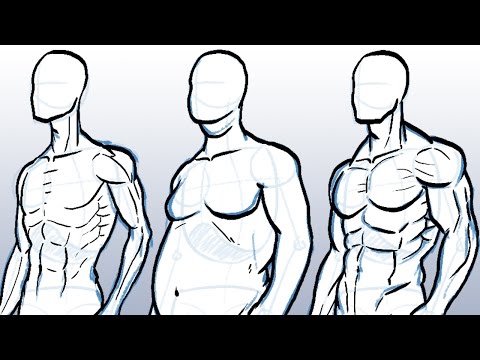 How to draw different body types – Drawing