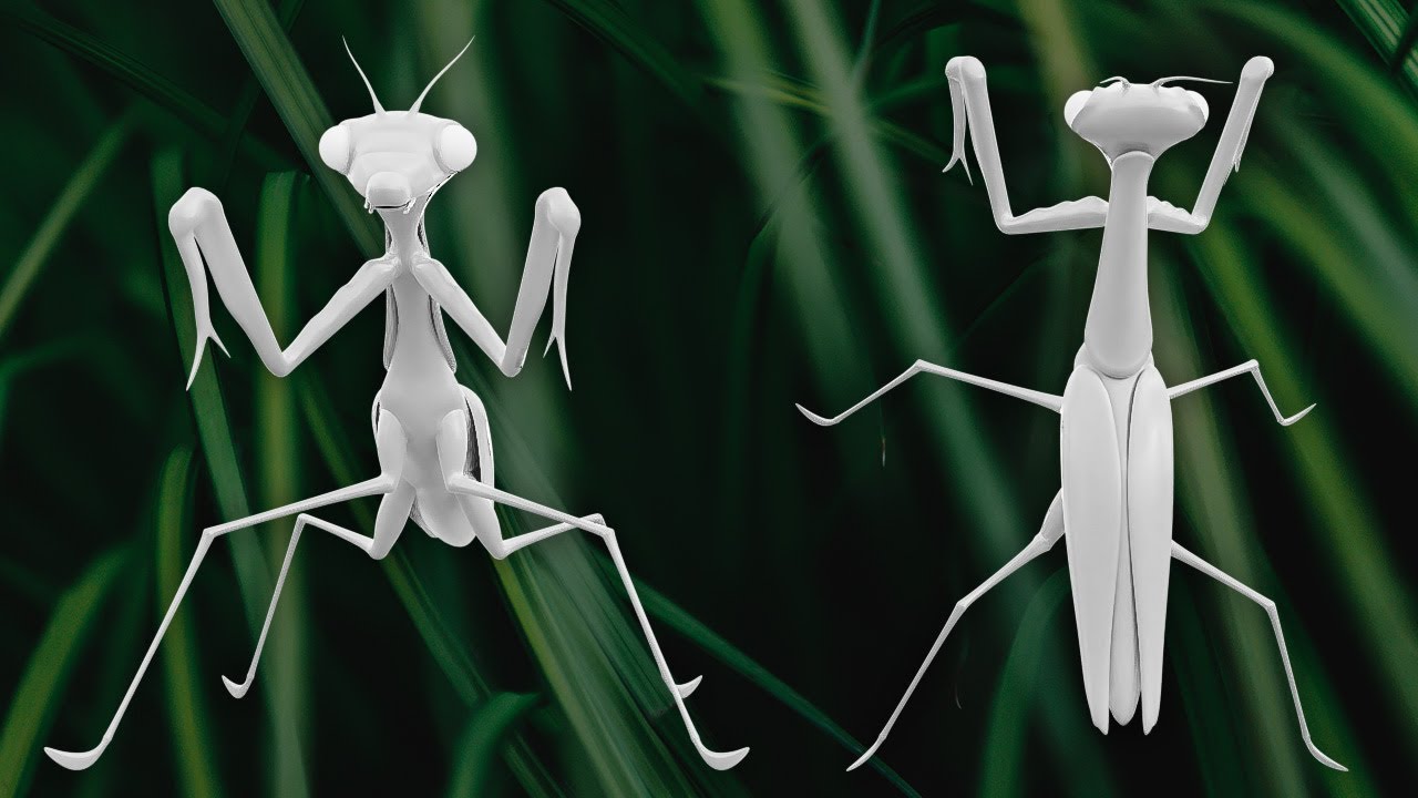 CGC Classic: Modeling a Praying Mantis (Blender 2.4)