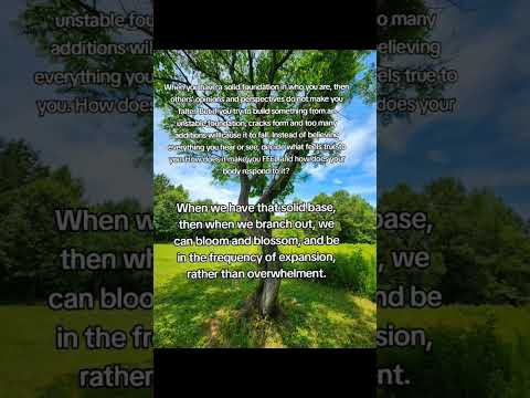 Affirm "I remember who I am" to awaken to your truest self. ????❤️✨️????#spiritualteacher4u #shorts