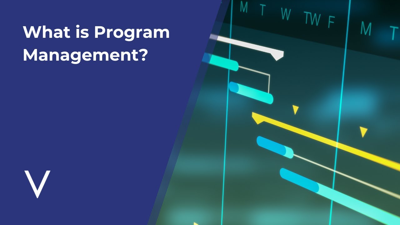 What is Program Management?