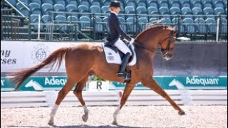 Learning Center Videos | US Equestrian