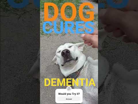 Healing DOG treats DEMENTIA Patient! #cartaker solutions