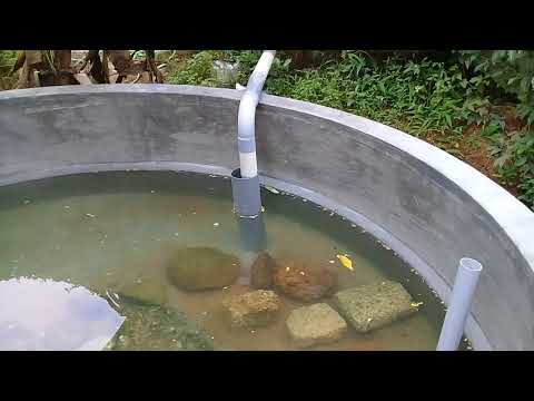 RCC Ring - RCC Collar Latest Price, Manufacturers & Suppliers