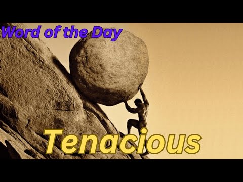 Word of the Day: Tenacious - Unlock the Power of Perseverance and Success
