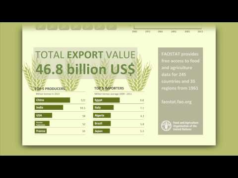 Wheat by FAOSTAT FAO (EN)