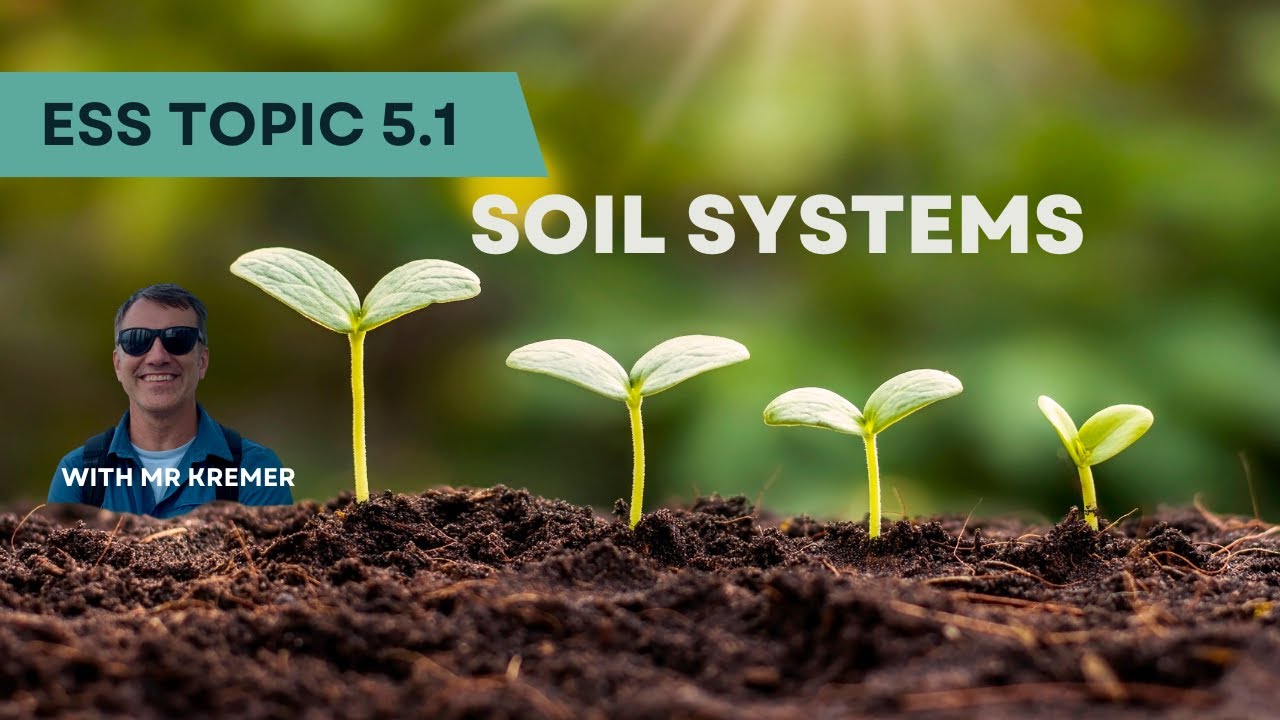 IB ESS Topic 5.1 Soil Systems Explained: Unraveling the Complex World of Soils