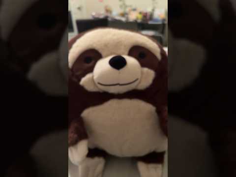 The thing in front of you killed your in your past life: 😭 // #memes #funny #sloth #plush