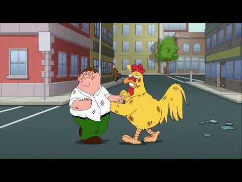Family Guy Chicken Fight  4 Part 1