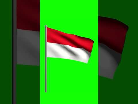 The Indonesian Flag #shorts #greenscreenvideo #freegraphics #cokelatbendera