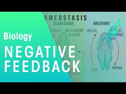 Negative Feedback | Physiology | Biology | FuseSchool