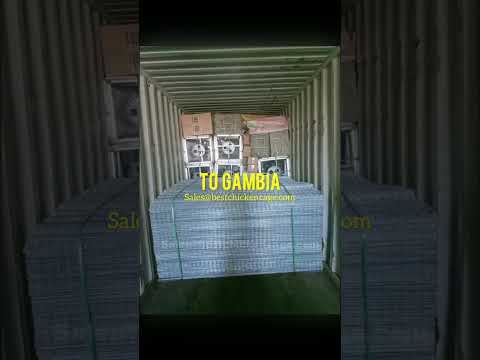 Delivered to Gambia poultry cage for layers of 30000 egg laying chicken,E: sales@bestchickencage.com